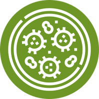 Biopredatox | El depredador de plagas