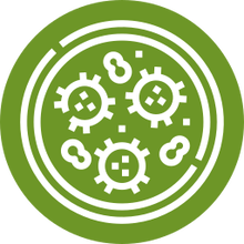 Biopredatox | El depredador de plagas